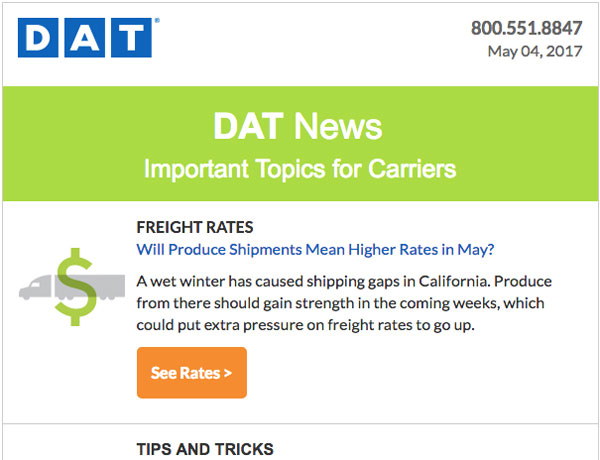 Julie Fong - Portfolio